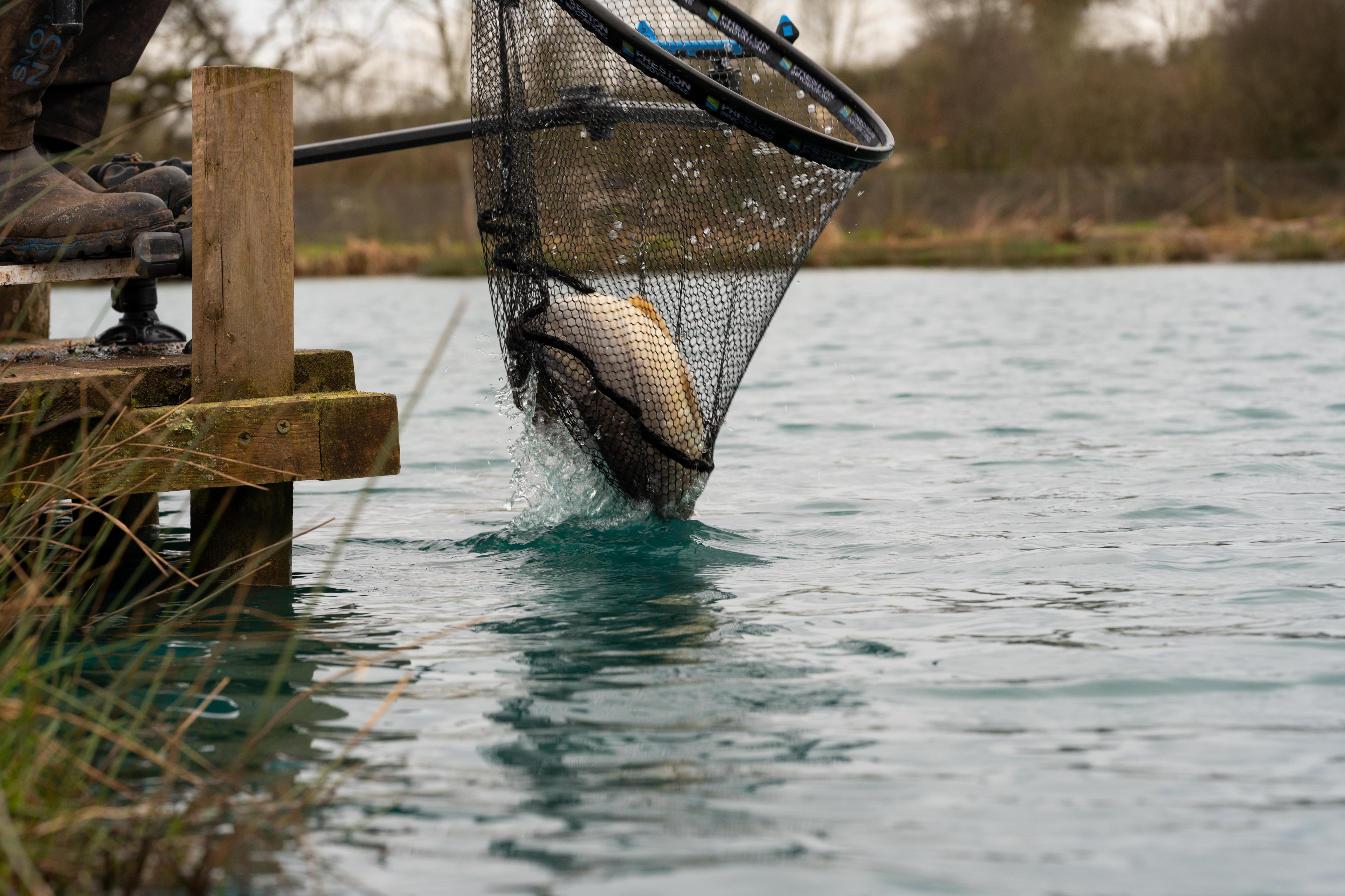 Carp XS Landing Nets | UK Match Fishing Tackle For True Anglers ...