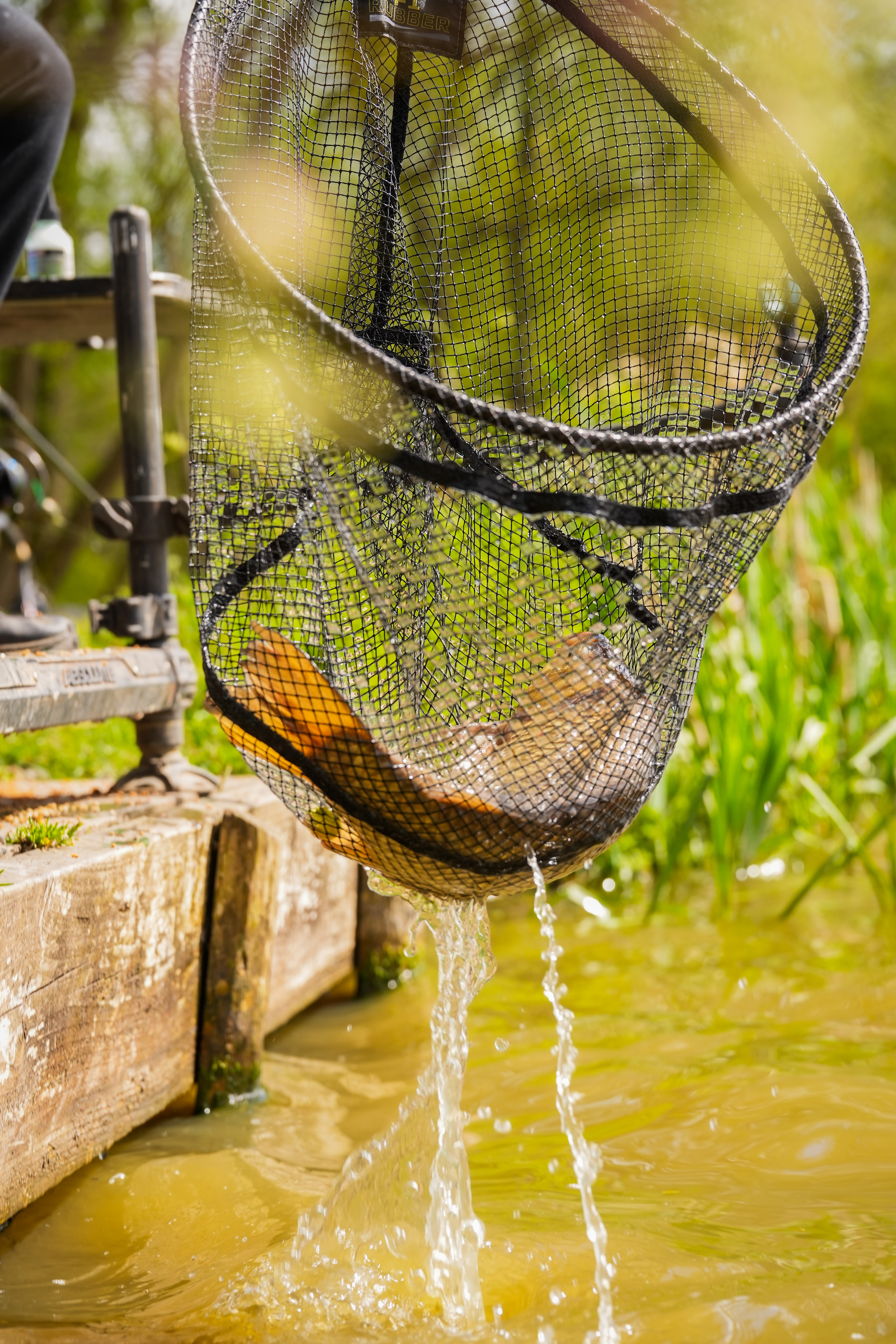 Carbon F1 Latex Landing Net | UK Match Fishing Tackle For True Anglers ...