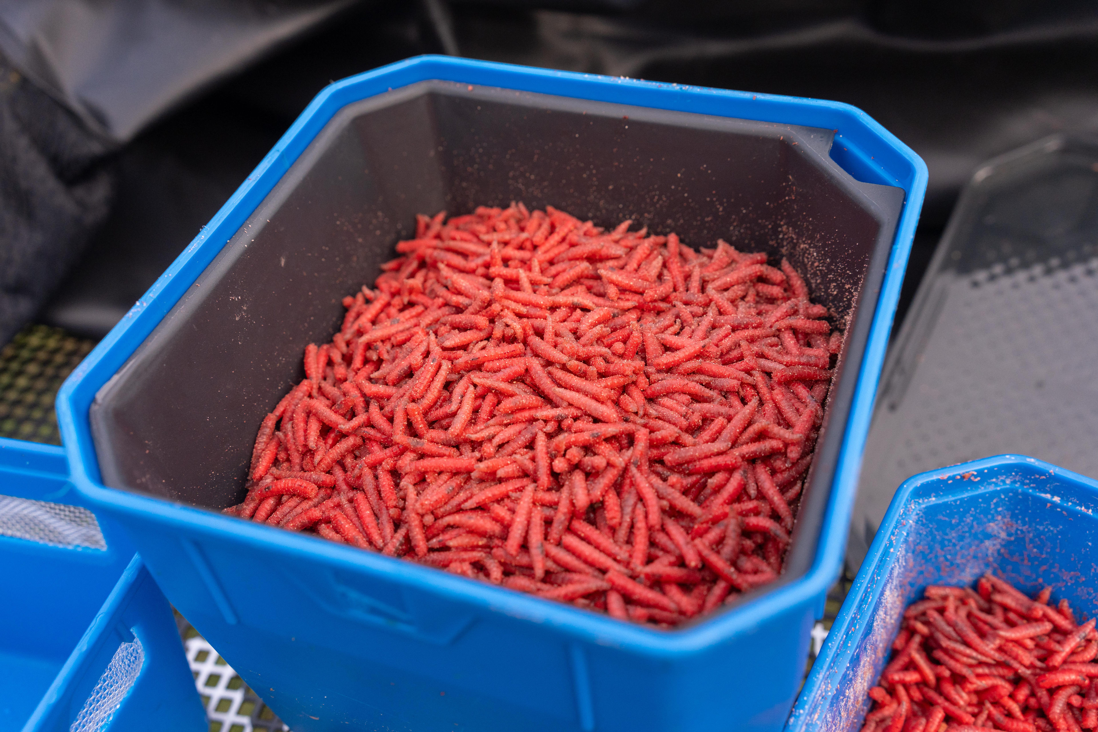 4 Pint Bait Tub | UK Match Fishing Tackle For True Anglers | Preston ...